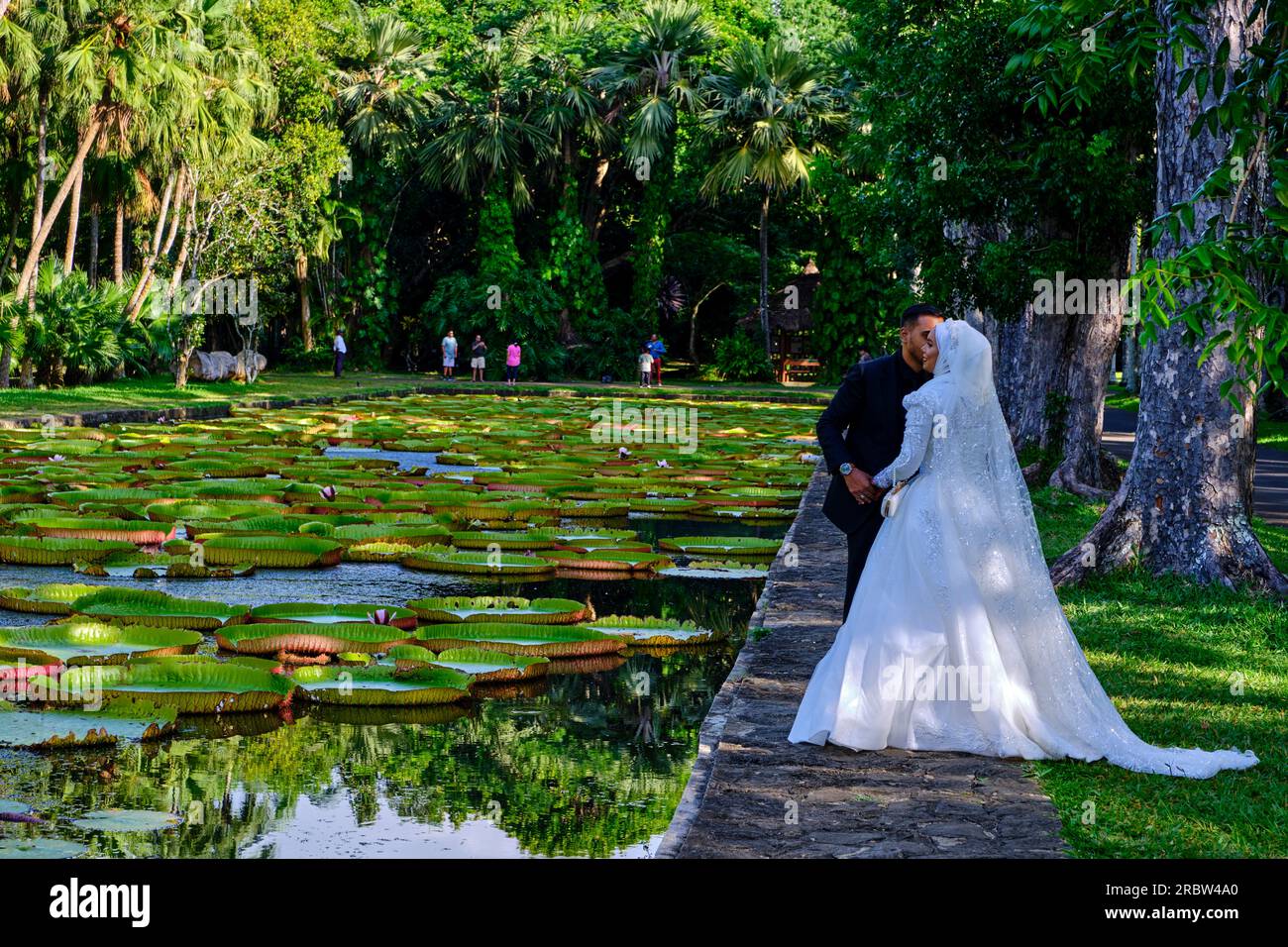 Maurice, quartier de Pamplemousses, Pamplemousses, jardin botanique Sir ...