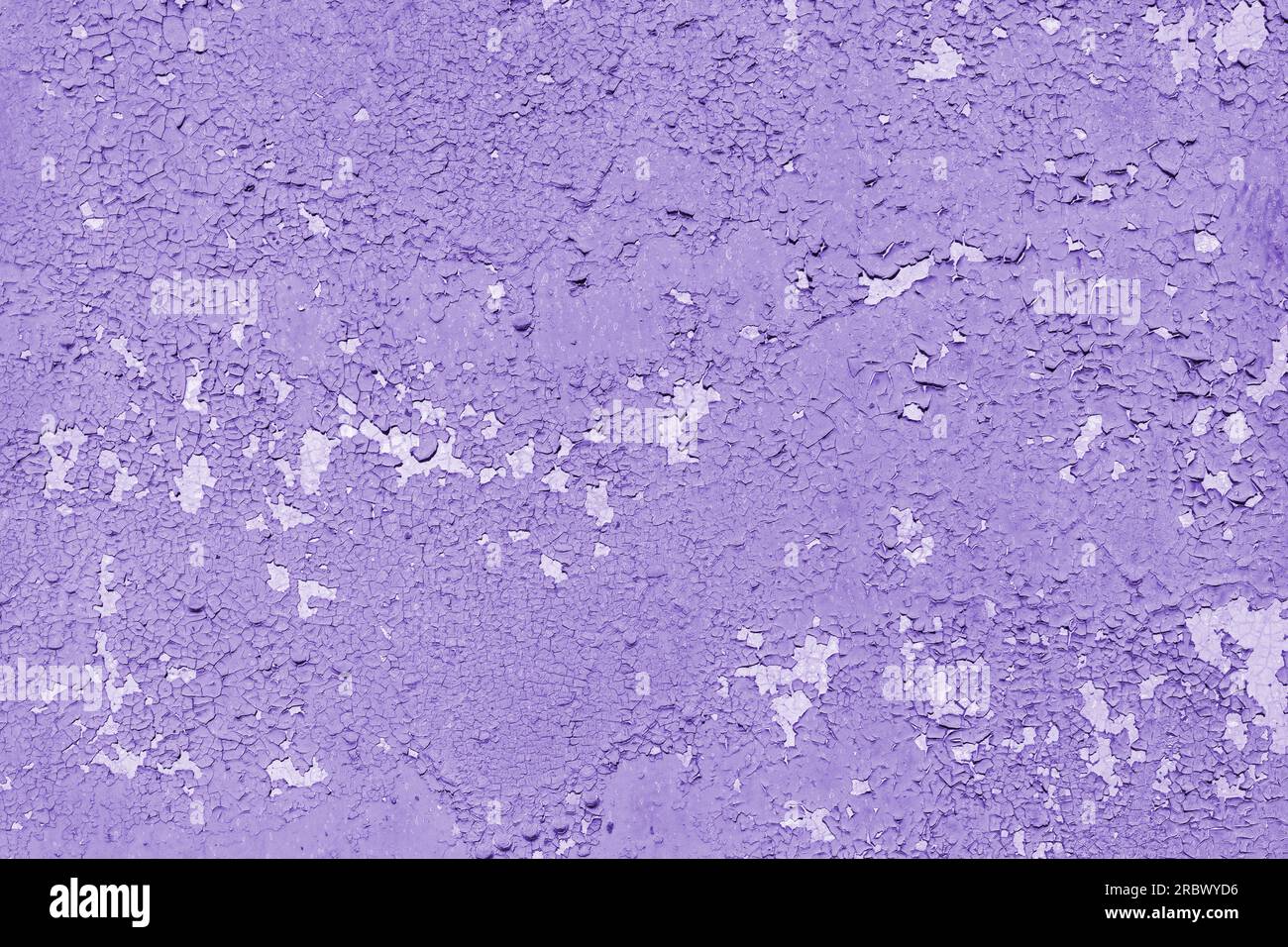Mur en béton avec vieille peinture violette fissurée et écaillée ...