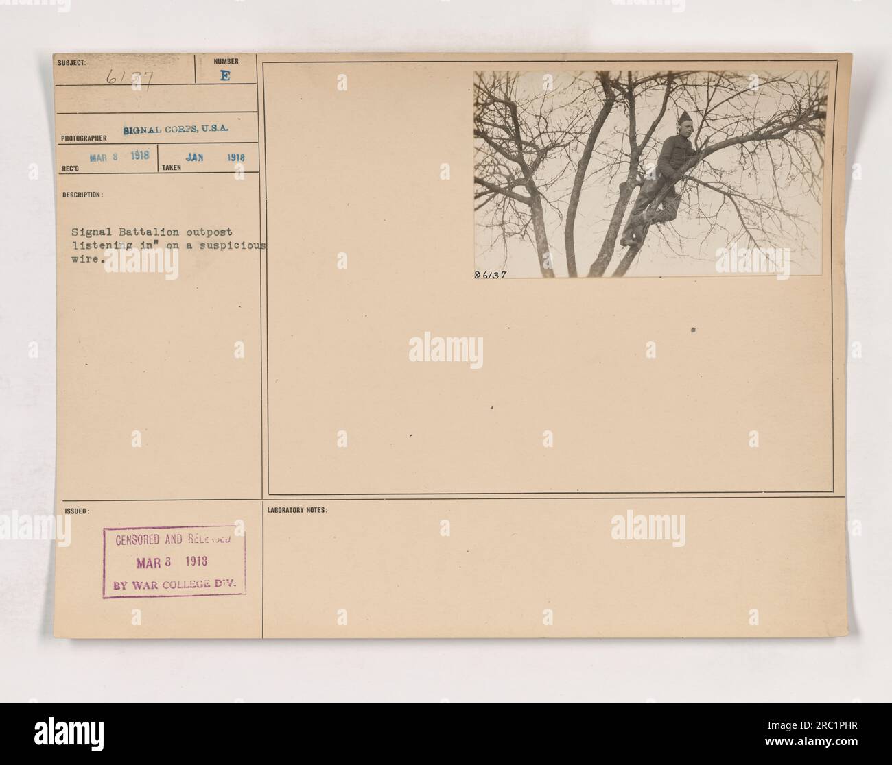 Avant poste du bataillon des transmissions sur le terrain Banque de ...