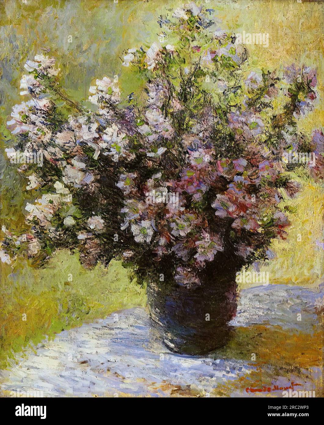 Fleurs de monet Banque de photographies et d’images à haute résolution ...