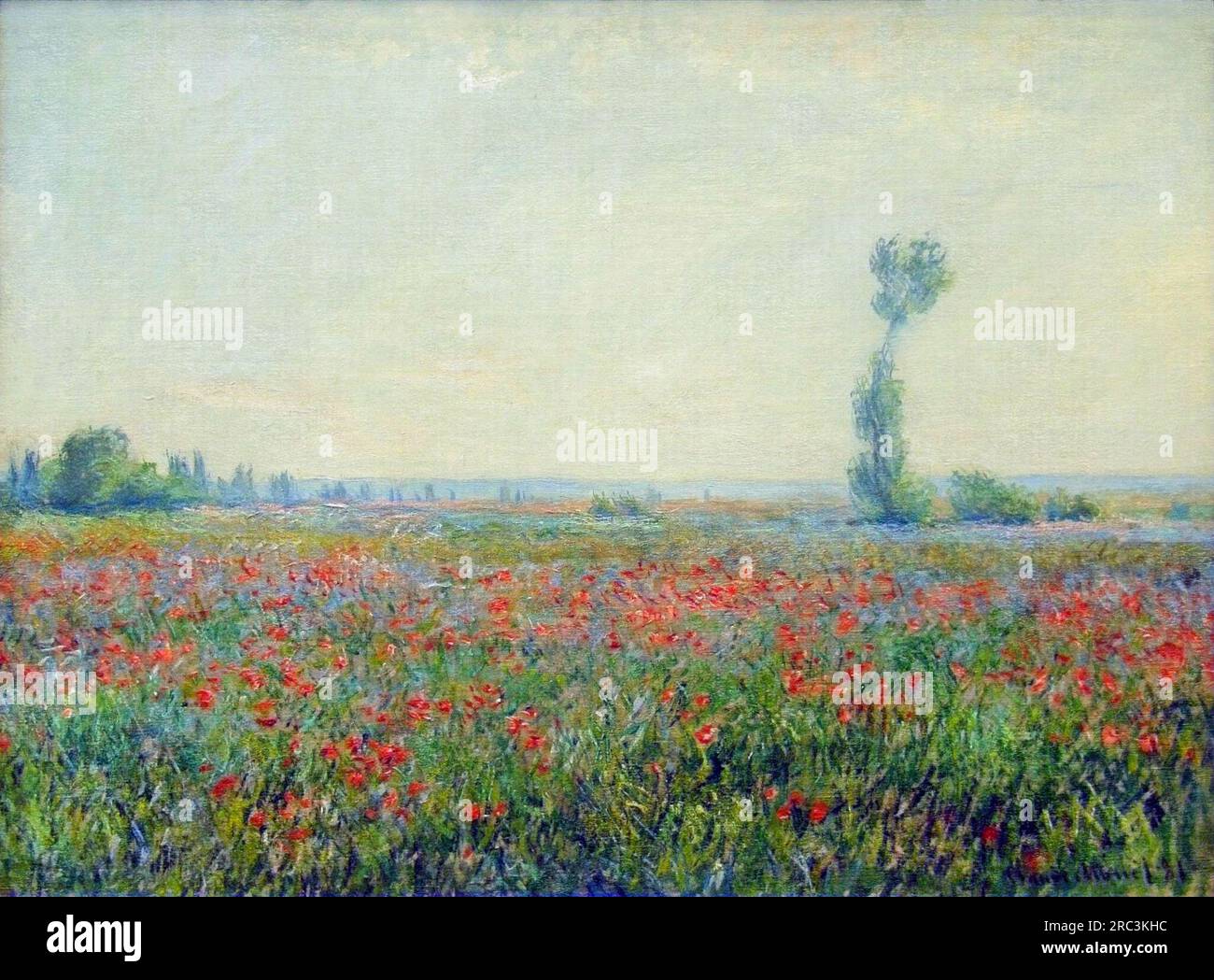 Champ de coquelicot claude monet Banque de photographies et d’images à ...