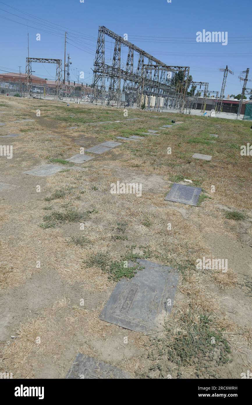 Carl lester blanc Banque de photographies et d’images à haute ...