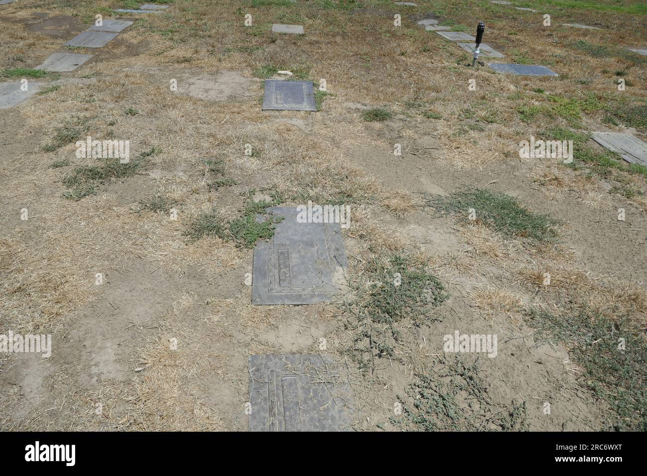 Carl lester blanc Banque de photographies et d’images à haute ...