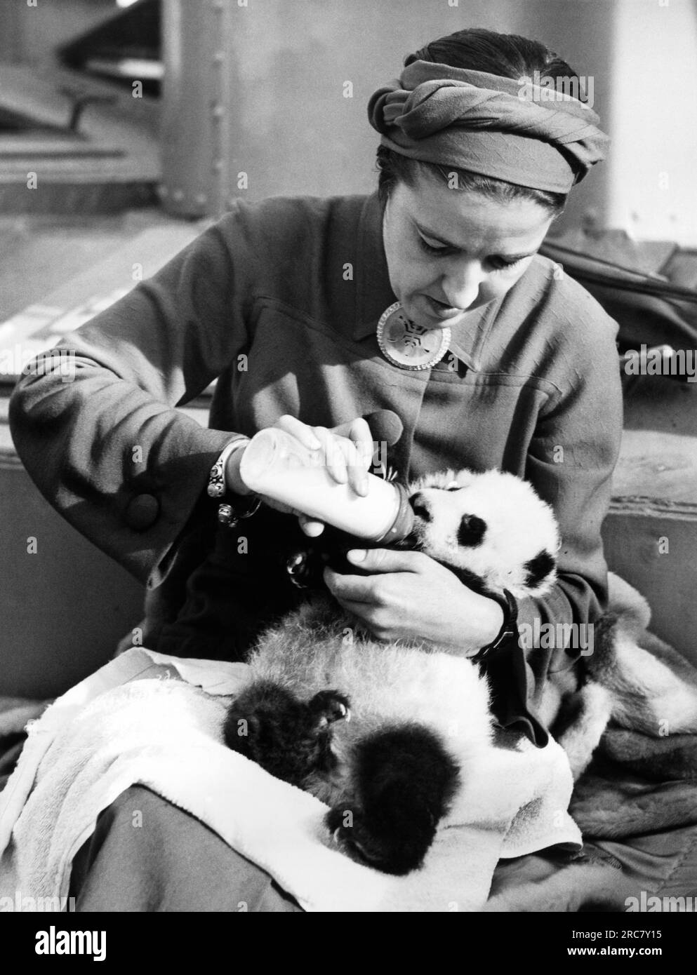 Ruth elizabeth harkness Banque de photographies et d’images à haute ...