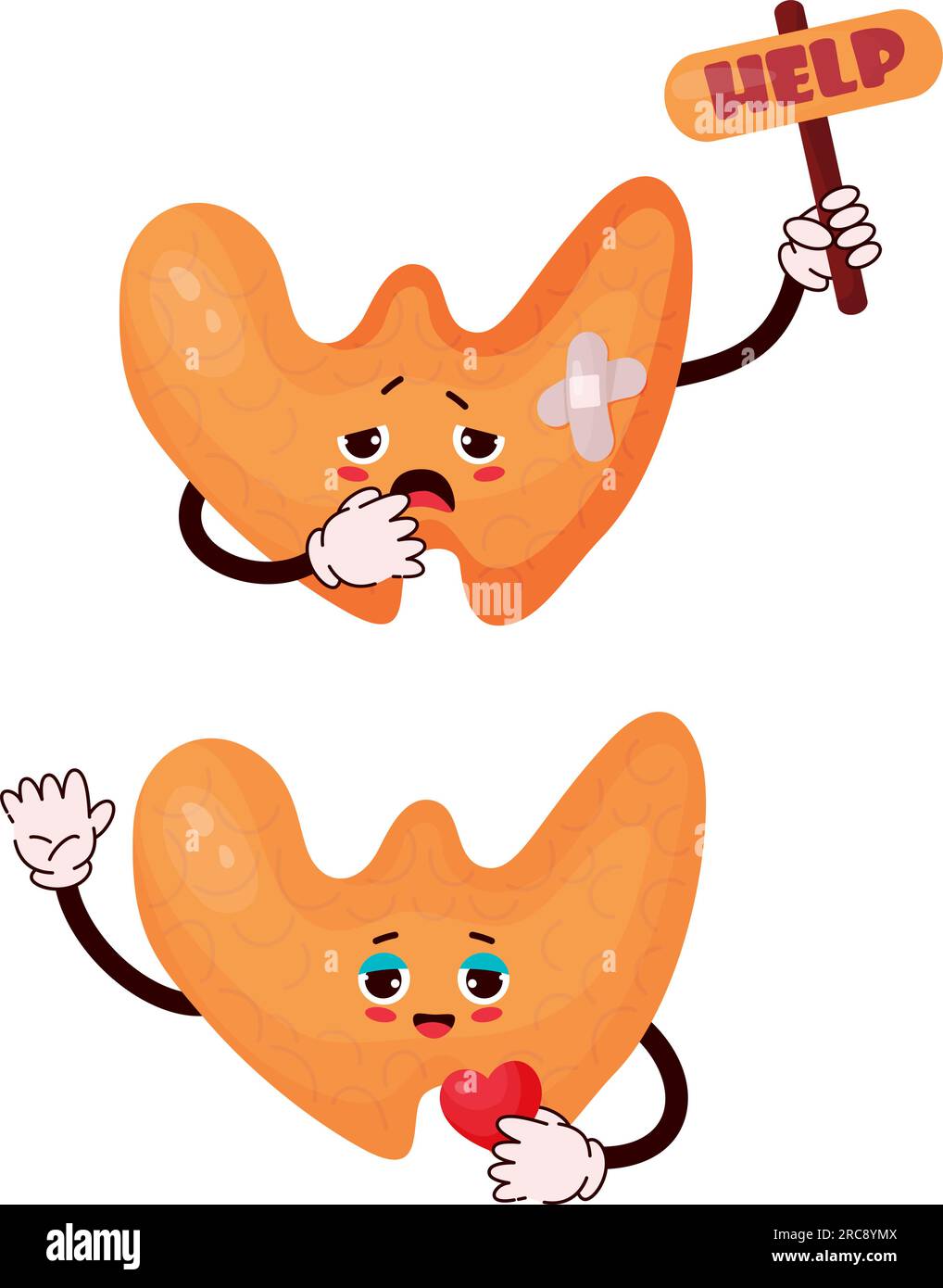 Mignon personnage de dessin animé glande thyroïde. Organe humain du ...