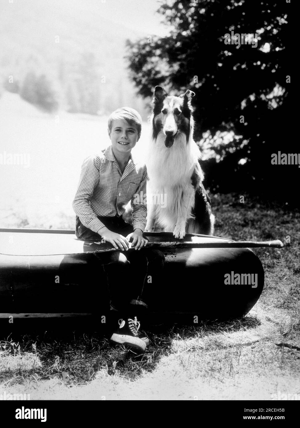 Lassie tv jon provost Banque de photographies et d’images à haute ...
