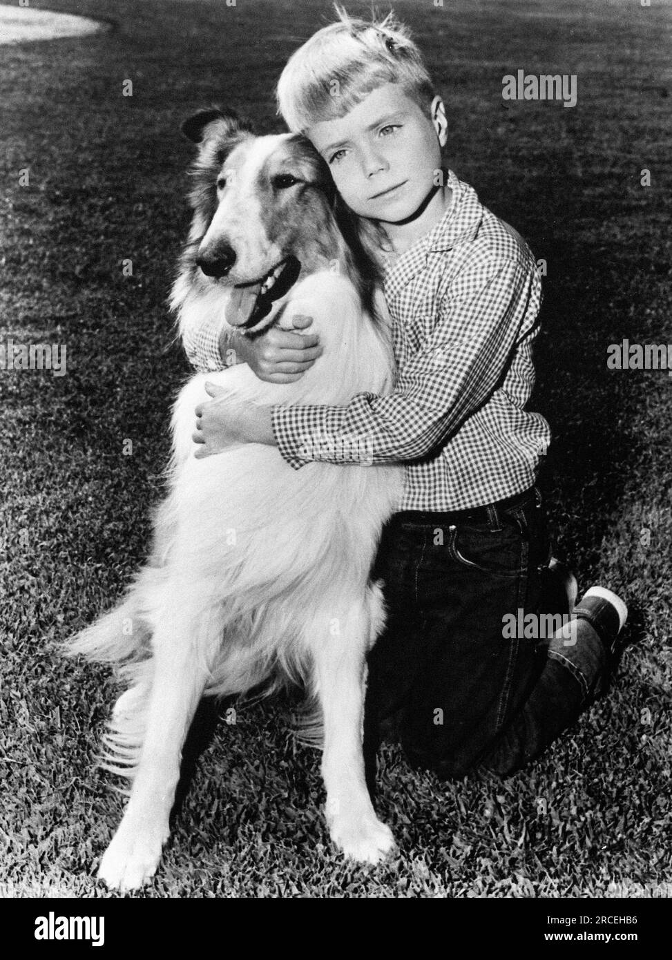Lassie tv jon provost Banque de photographies et d’images à haute ...