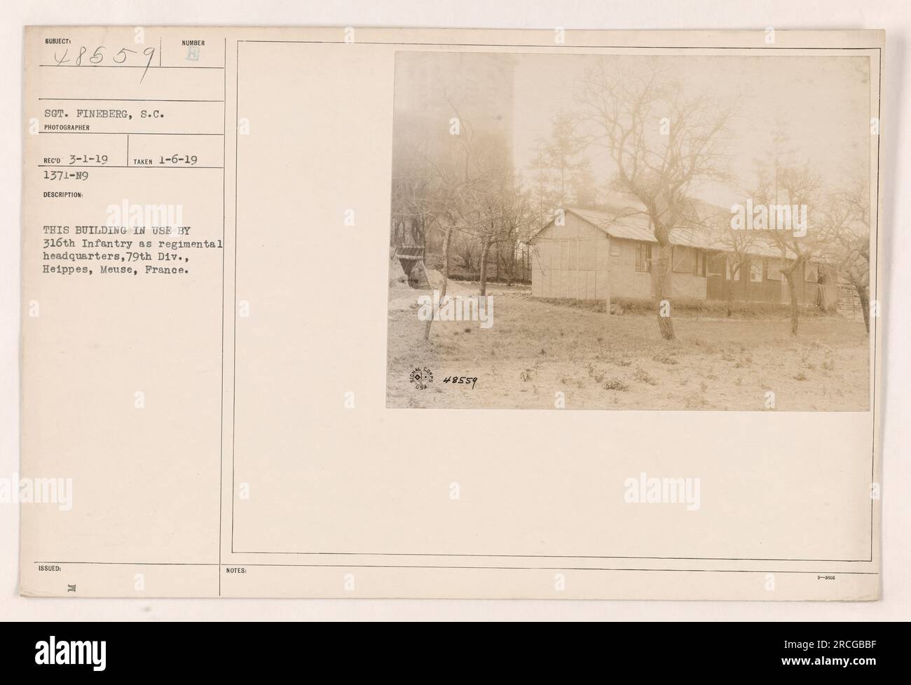 79th infantry division Banque de photographies et d’images à haute ...