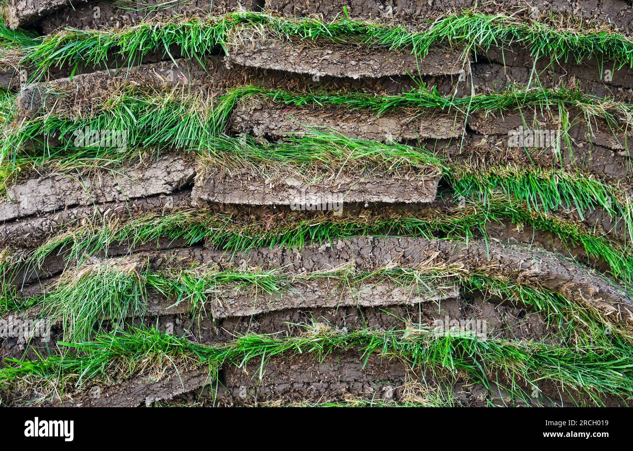 Herbe et sol Banque de photographies et d’images à haute résolution - Alamy