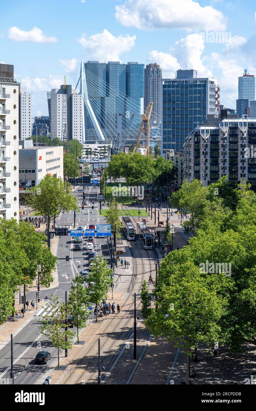 World trade center rotterdam Banque de photographies et d’images à ...