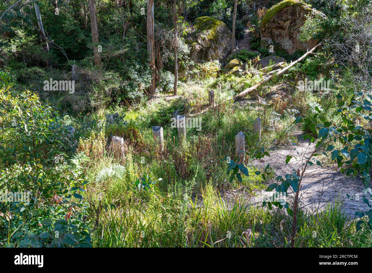 Pièges de chars historiques de la Seconde Guerre mondiale dans le Gully ...