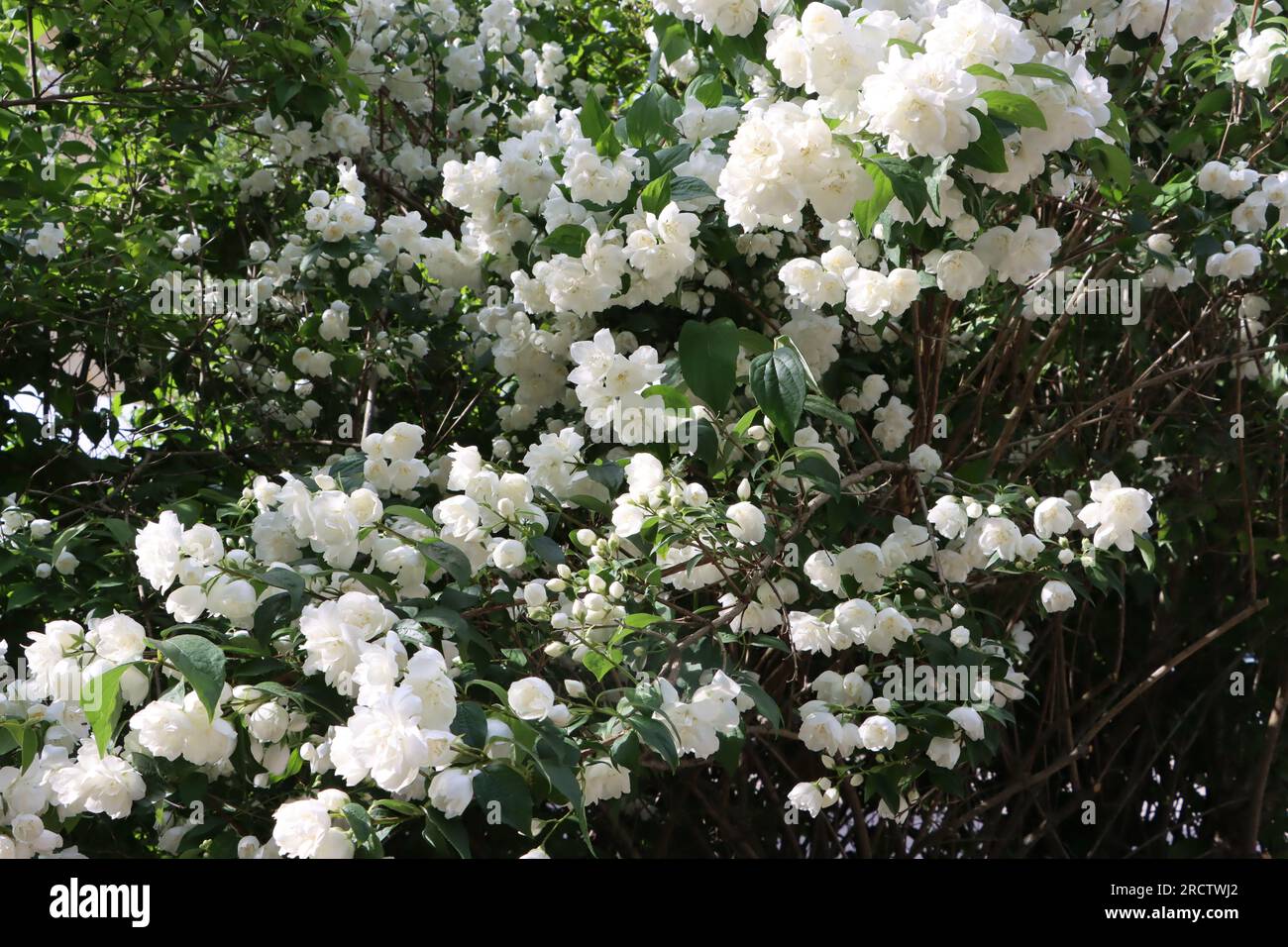 Fiskars bruk Banque de photographies et d’images à haute résolution - Alamy