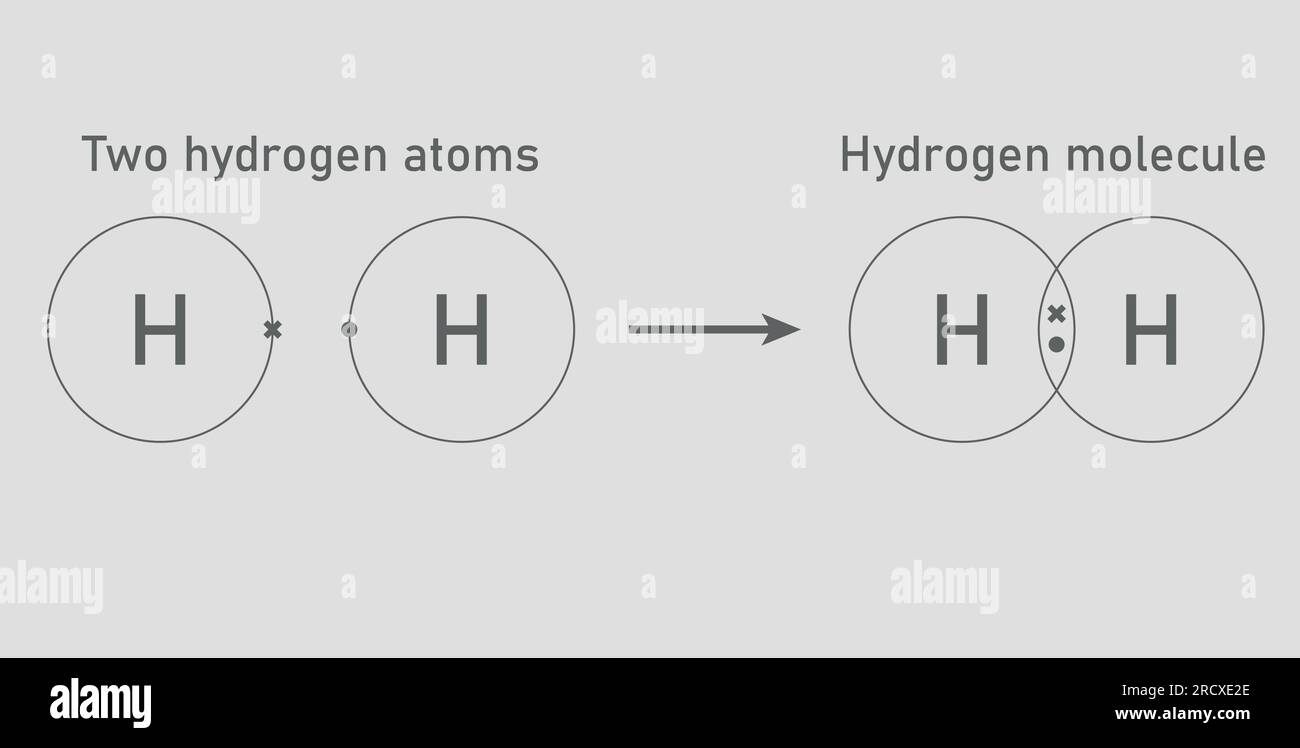 Liaison covalente de la molécule d'hydrogène. Deux atomes d'hydrogène ...