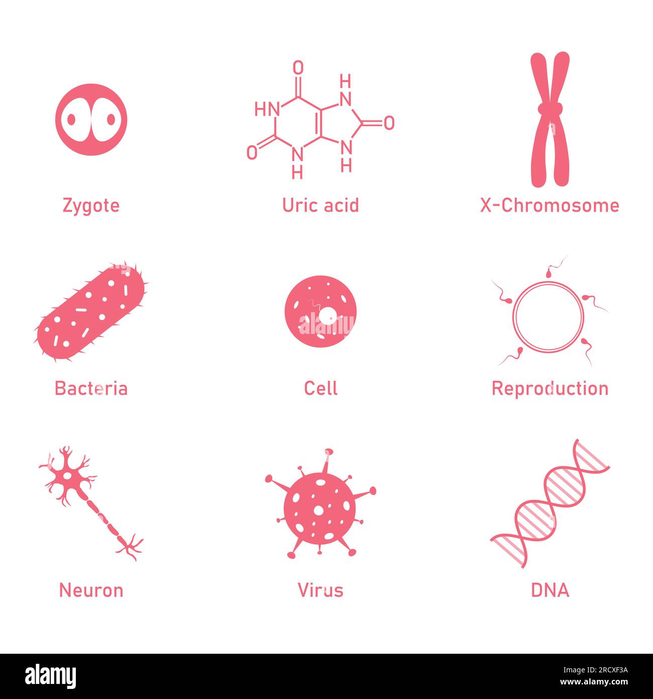 Icône des sciences biologiques. Acide urique, bactéries, cellule ...