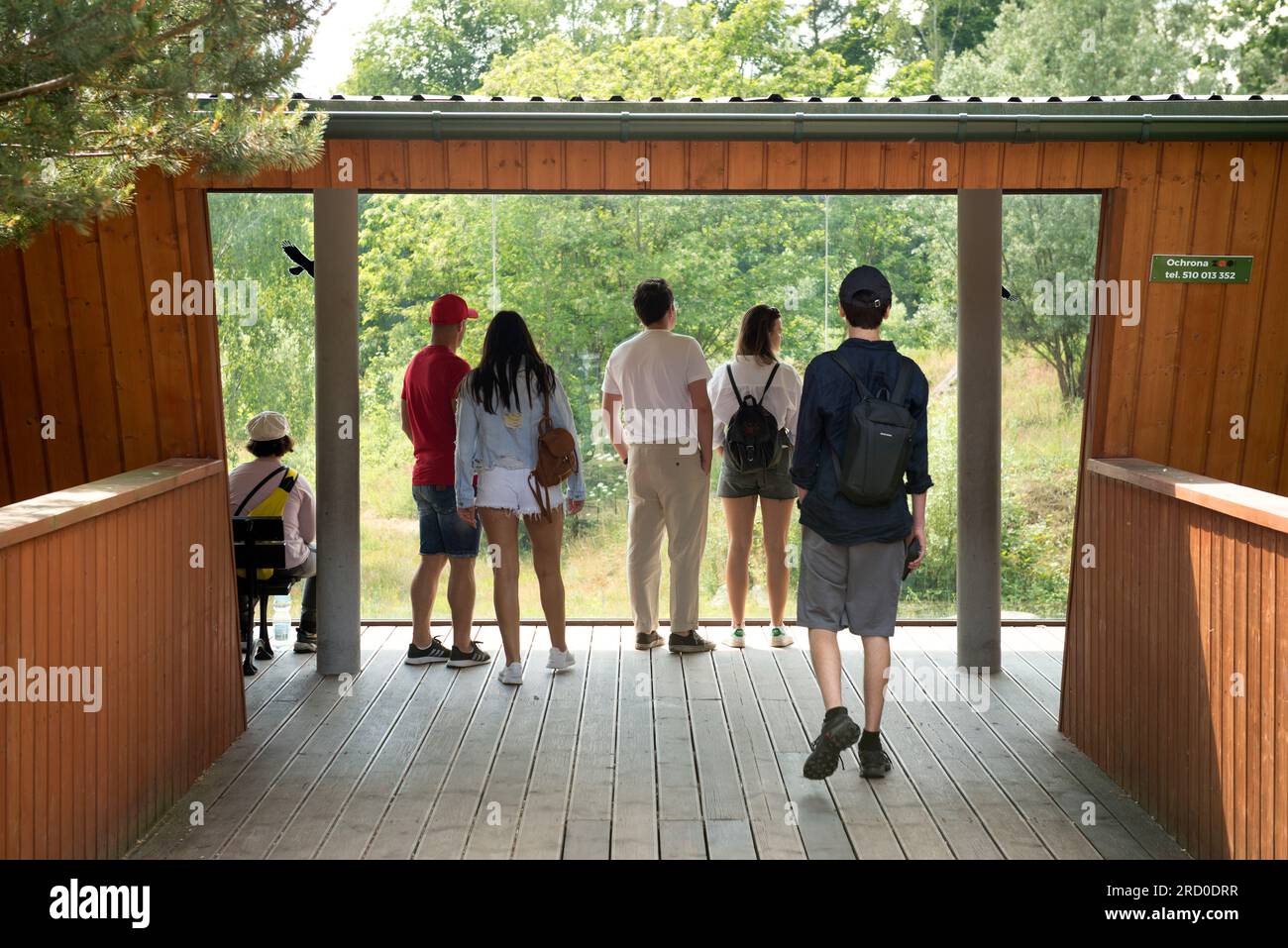 Lions de gdansk Banque de photographies et d’images à haute résolution ...