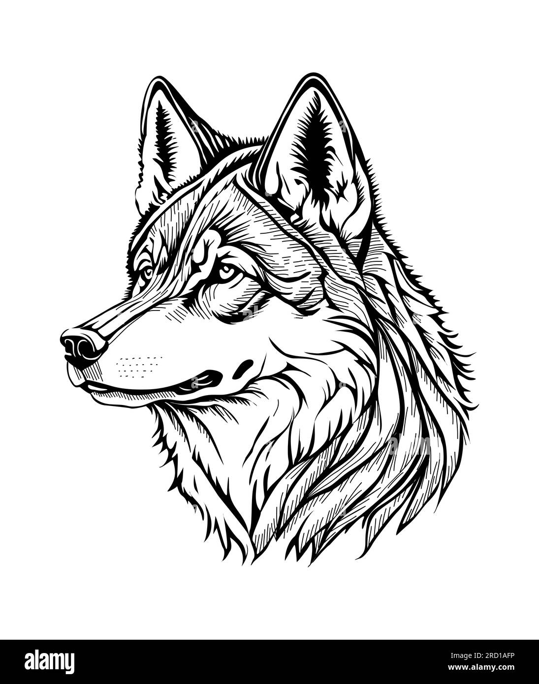 Dessin De Loup En Noir Et Blanc