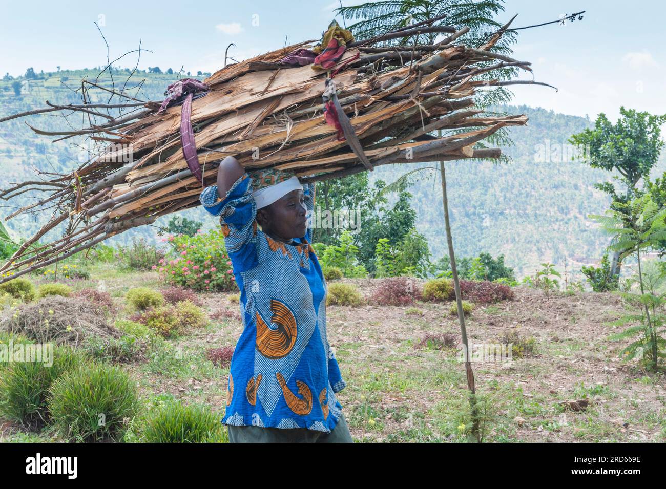 Vue de Drive Through Rwanda de Kigali à Sabyinyo Silverback Lodge dans ...