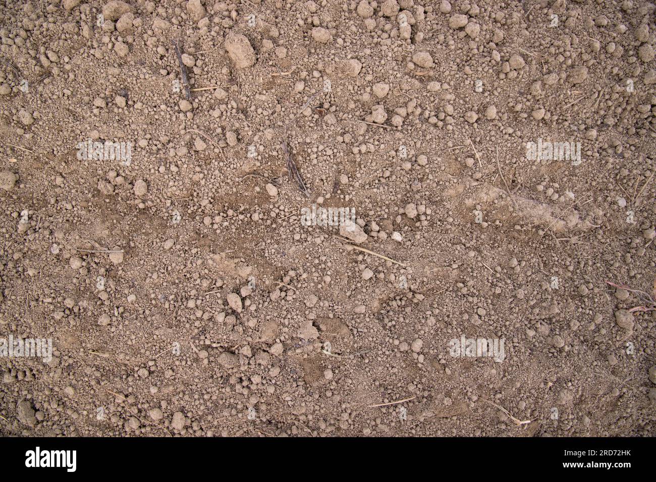 La texture de champ de tourbe de sol écrasée brune peut être utilisée ...