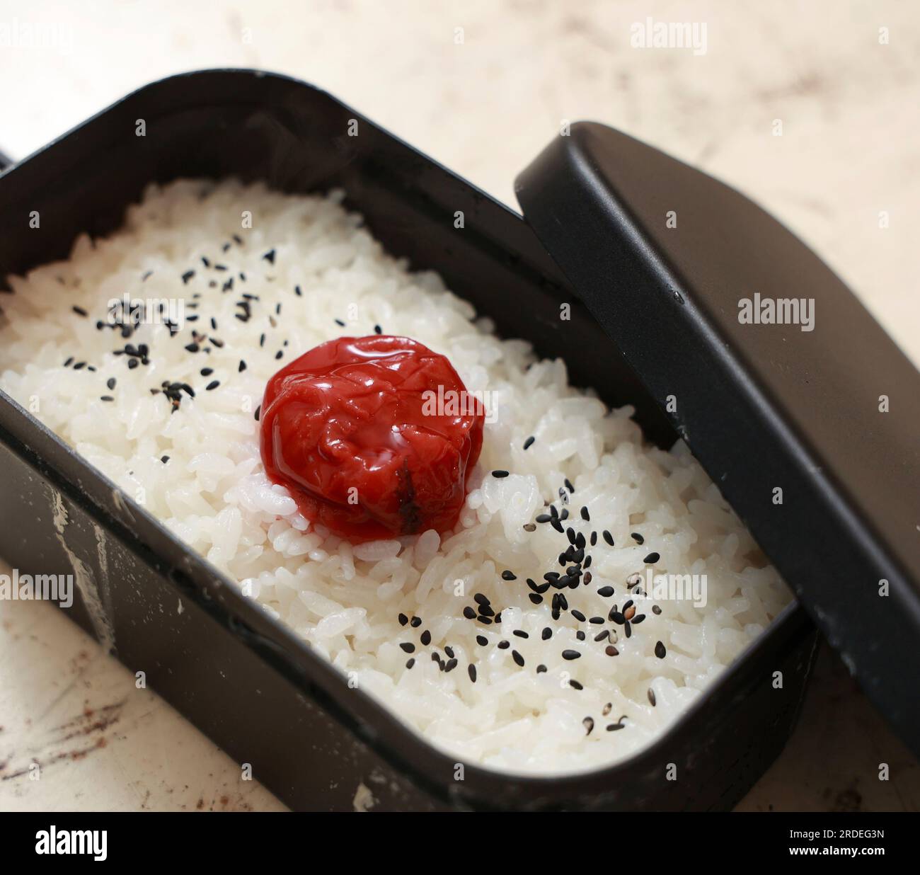 A picture shows a typical Hinomaru Bento in Tokyo on June 29, 2023 ...