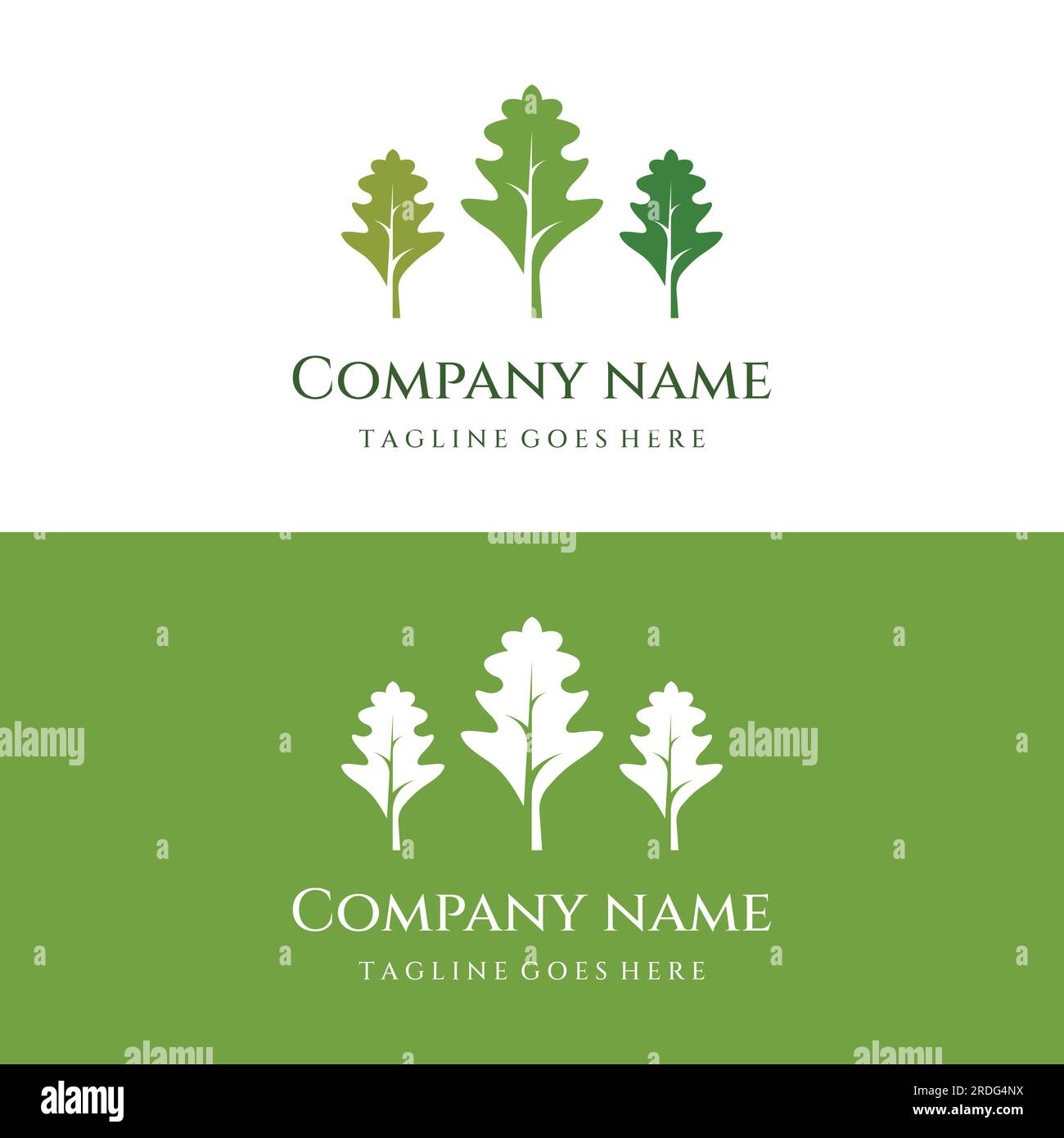 Logo de feuille de chêne d'automne et logo de chêne. Avec l'édition de ...