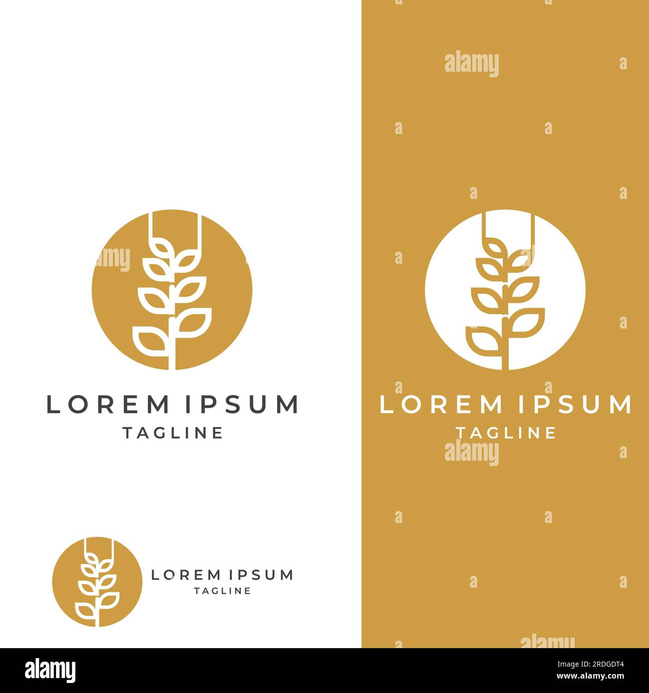 Logo de blé ou de céréales, champ de blé et logo de ferme de blé. Avec ... Logo de blé ou de céréales, champ de blé et logo de ferme de blé. Avec ...