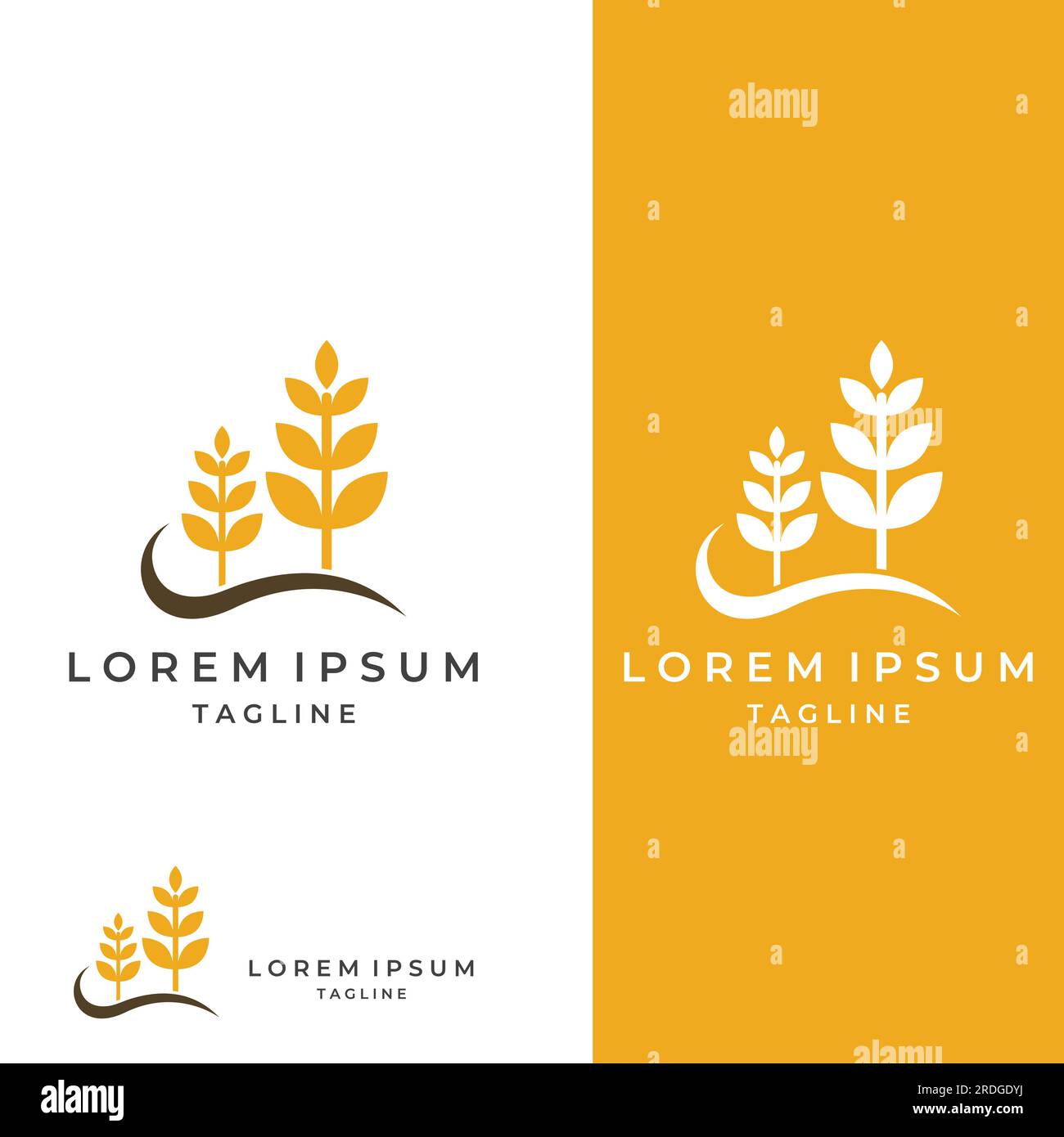 Logo de blé ou de céréales, champ de blé et logo de ferme de blé. Avec ... Logo de blé ou de céréales, champ de blé et logo de ferme de blé. Avec ...