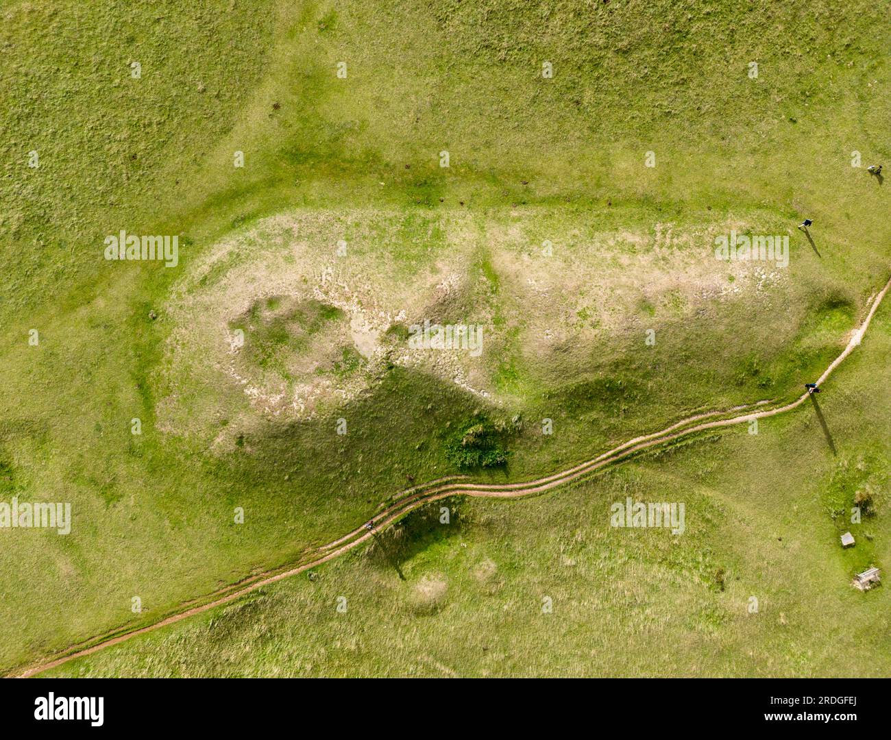 Stanley common Banque de photographies et d’images à haute résolution ...