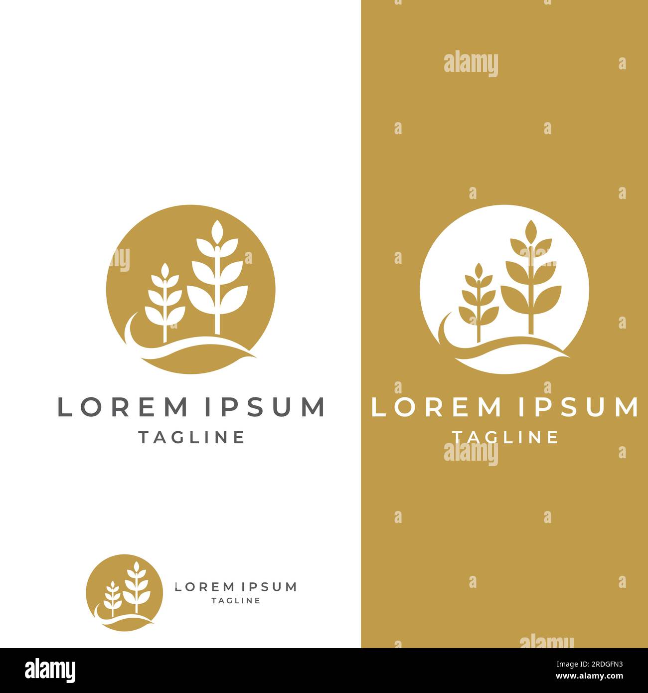 Logo de blé ou de céréales, champ de blé et logo de ferme de blé. Avec ... Logo de blé ou de céréales, champ de blé et logo de ferme de blé. Avec ...