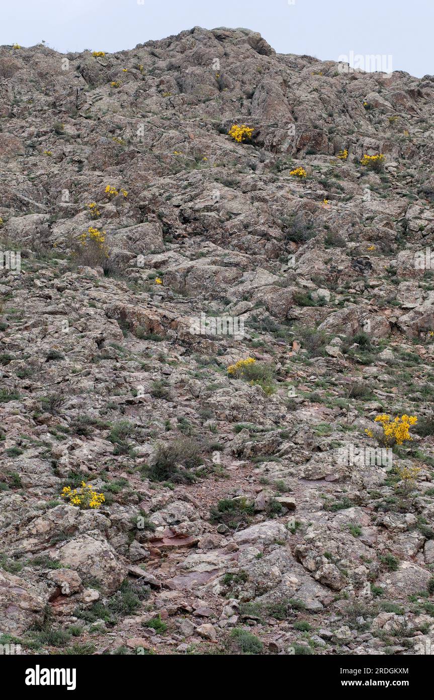 L'andésite est une roche volcanique ou extrusive à texture aphanitique ou porphyritique. Est une ...