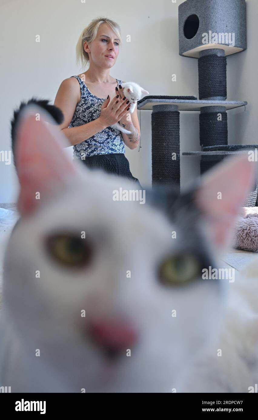 Jana feister Banque de photographies et d’images à haute résolution - Alamy