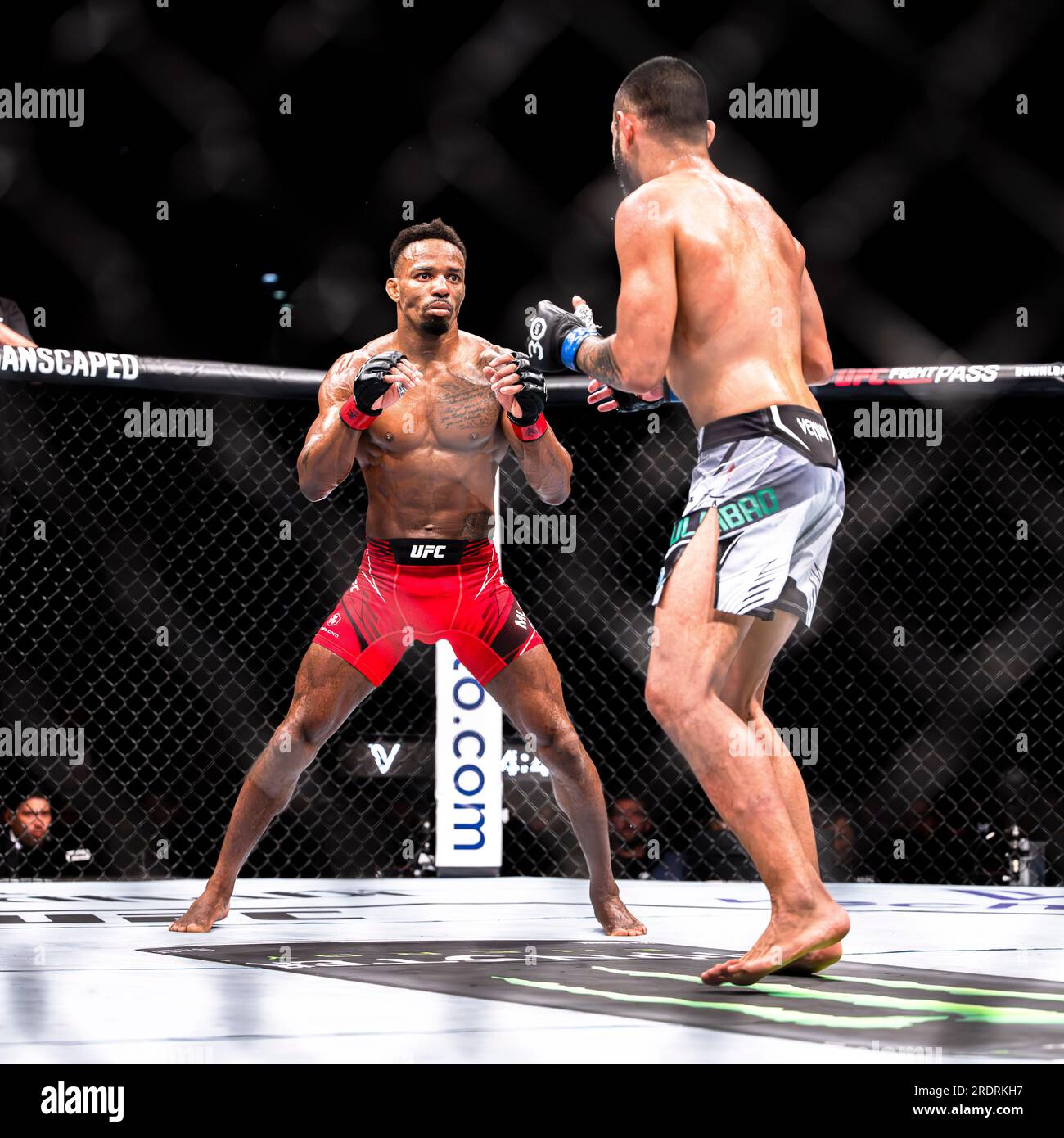 Combat ufc Banque de photographies et d’images à haute résolution - Alamy