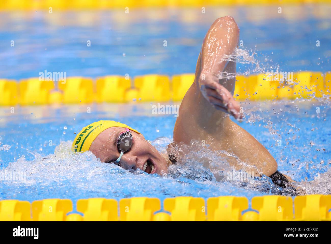 Arimus titmus Banque de photographies et d’images à haute résolution - Alamy