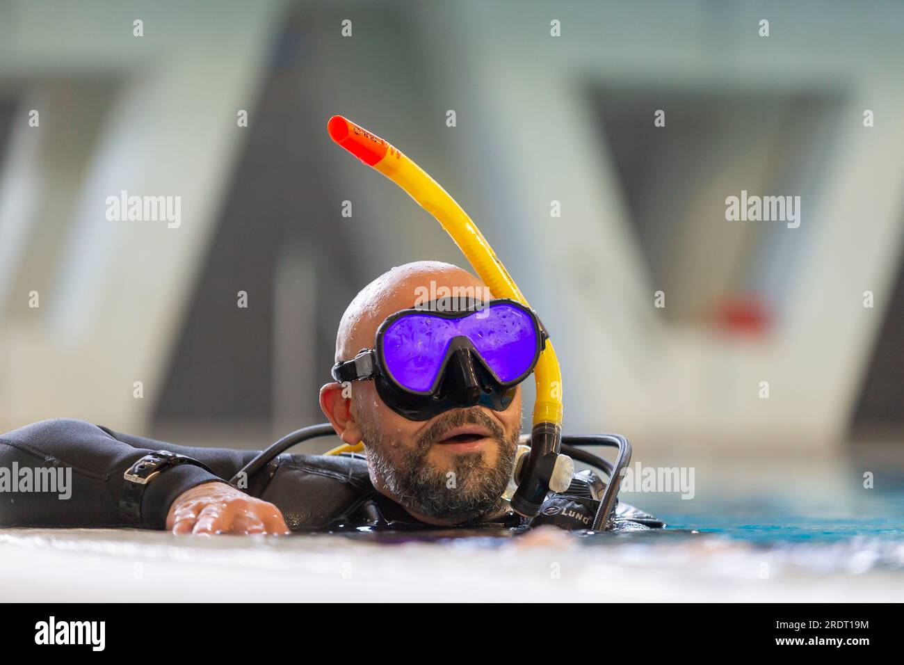 Plongeur dans la piscine Banque de photographies et d’images à haute ...