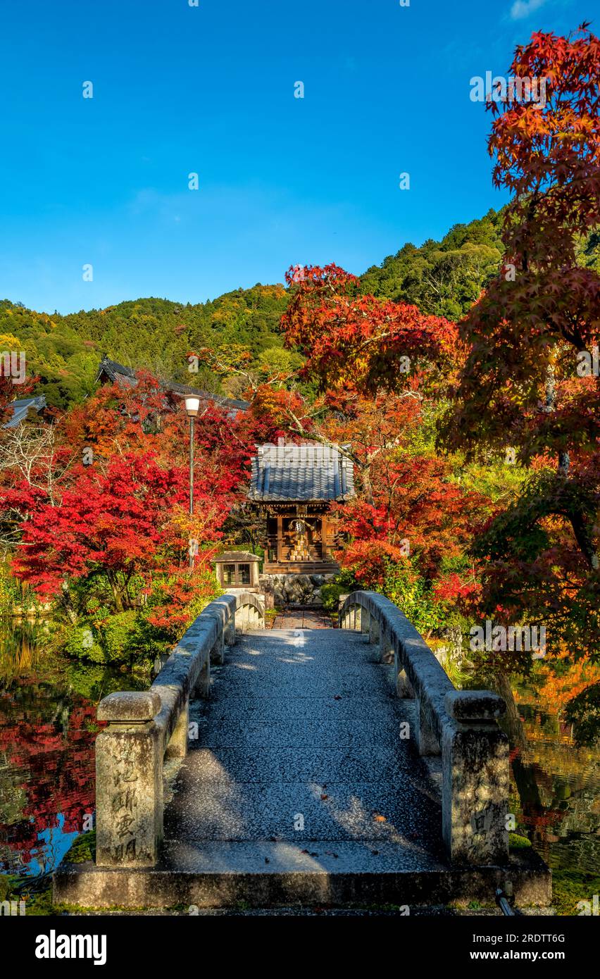 Eikan do zenrin ji Banque de photographies et d’images à haute ...