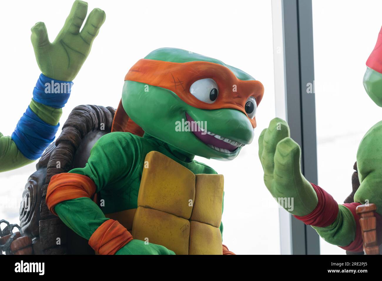 Le personnage des Tortues Ninja Teenage mutant Ninja Turtles Michel ...