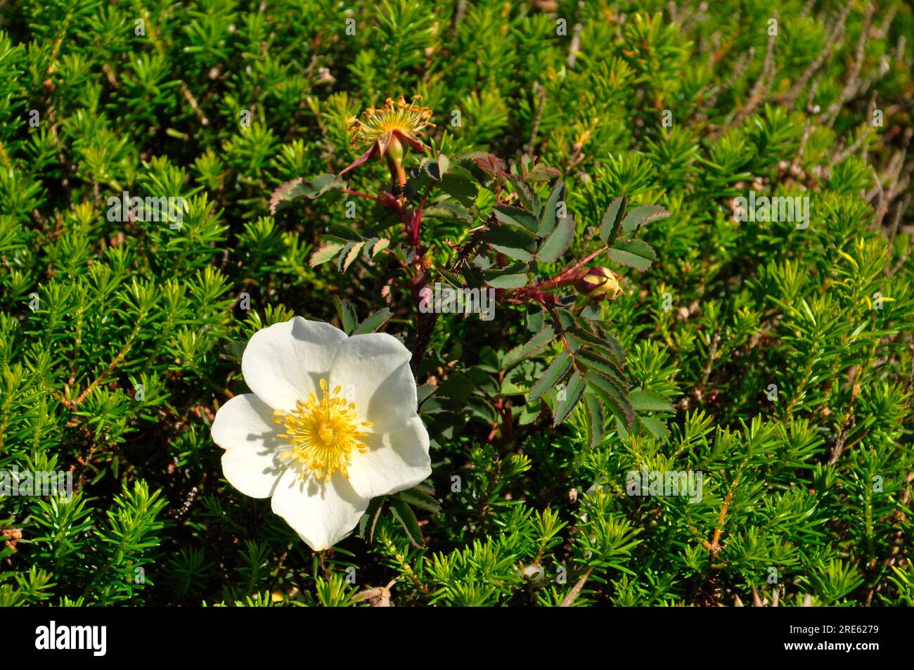 Zones côtières Banque de photographies et d’images à haute résolution ...