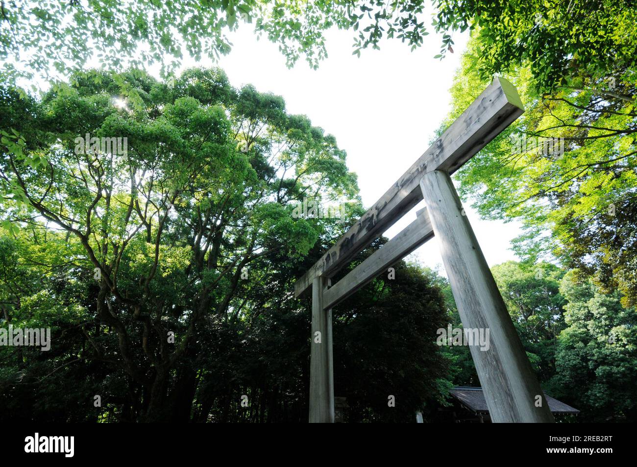 Ise jingu shrine Banque de photographies et d’images à haute résolution ...