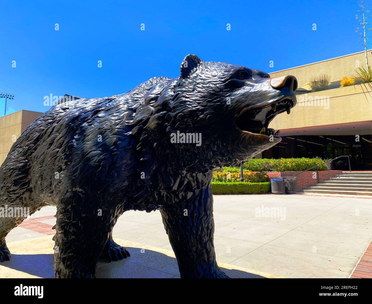 Statue de bruin Banque de photographies et d’images à haute résolution ...