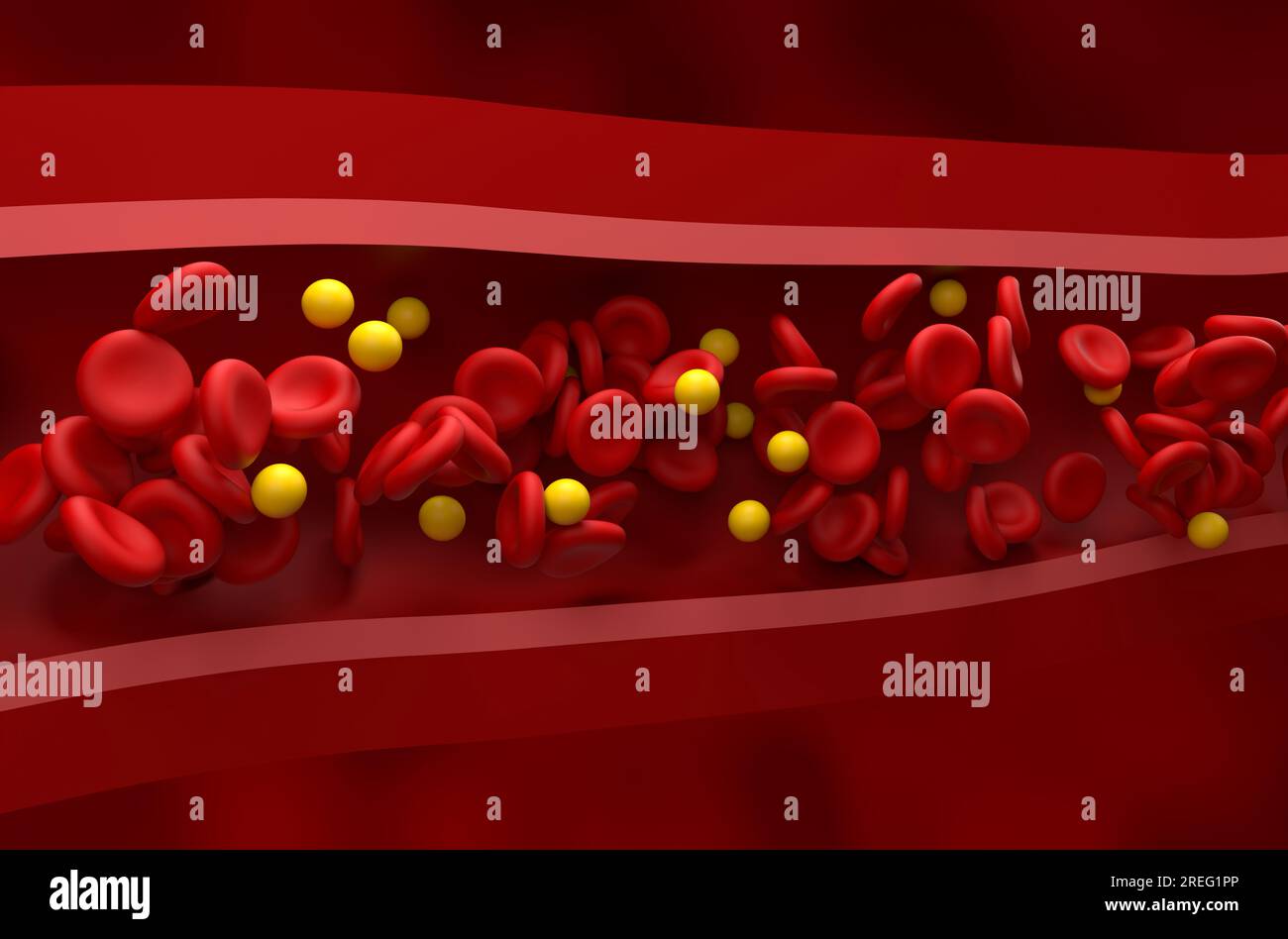 Globule rouge normal Banque de photographies et d’images à haute ...