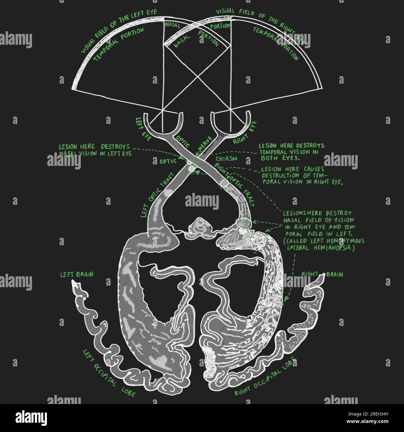 Schéma de parcours visuel vintage pour l'éducation ou la science ...