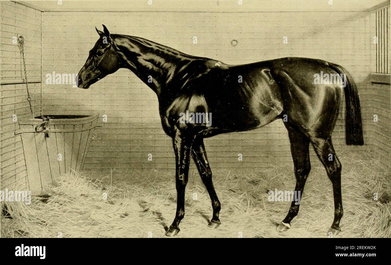 Eclipse & OKelly : Étant une histoire complète dans la mesure où l'on ...