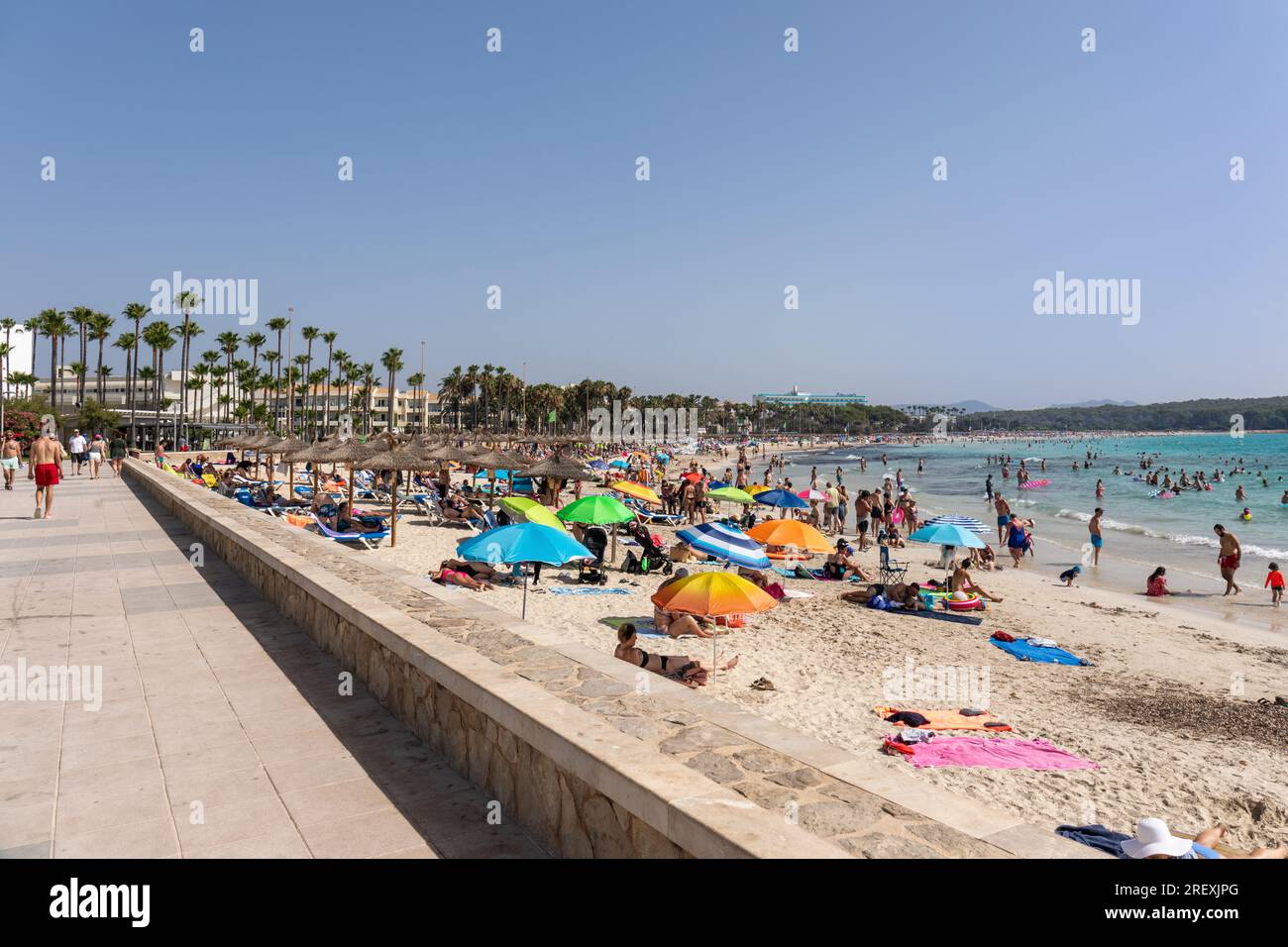 Plage et promenade de sa Coma, sa Coma, Majorque (Majorque), Îles ...
