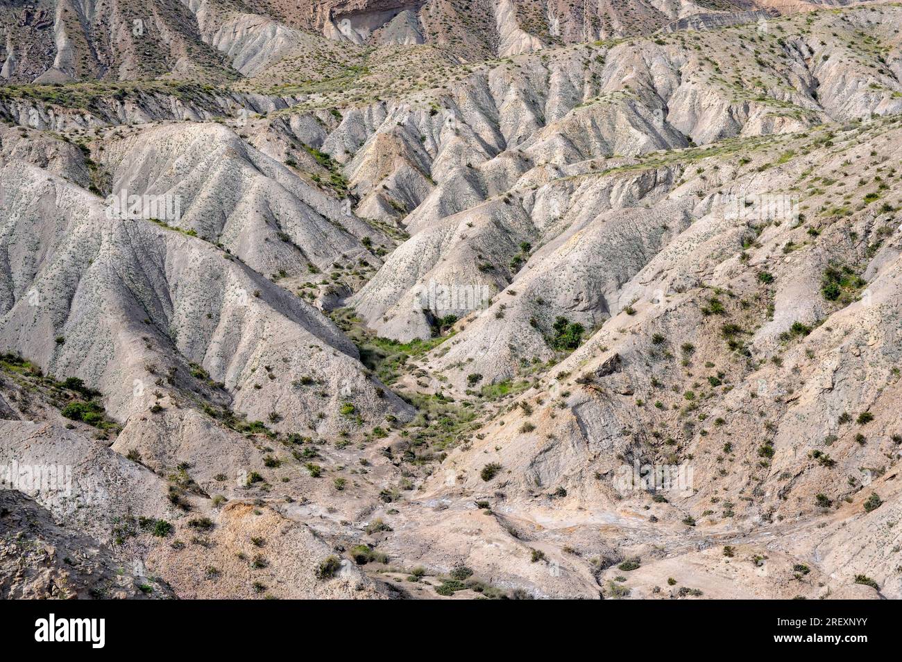Les Badlands sont des terrains secs formés de roches sédimentaires plus ...
