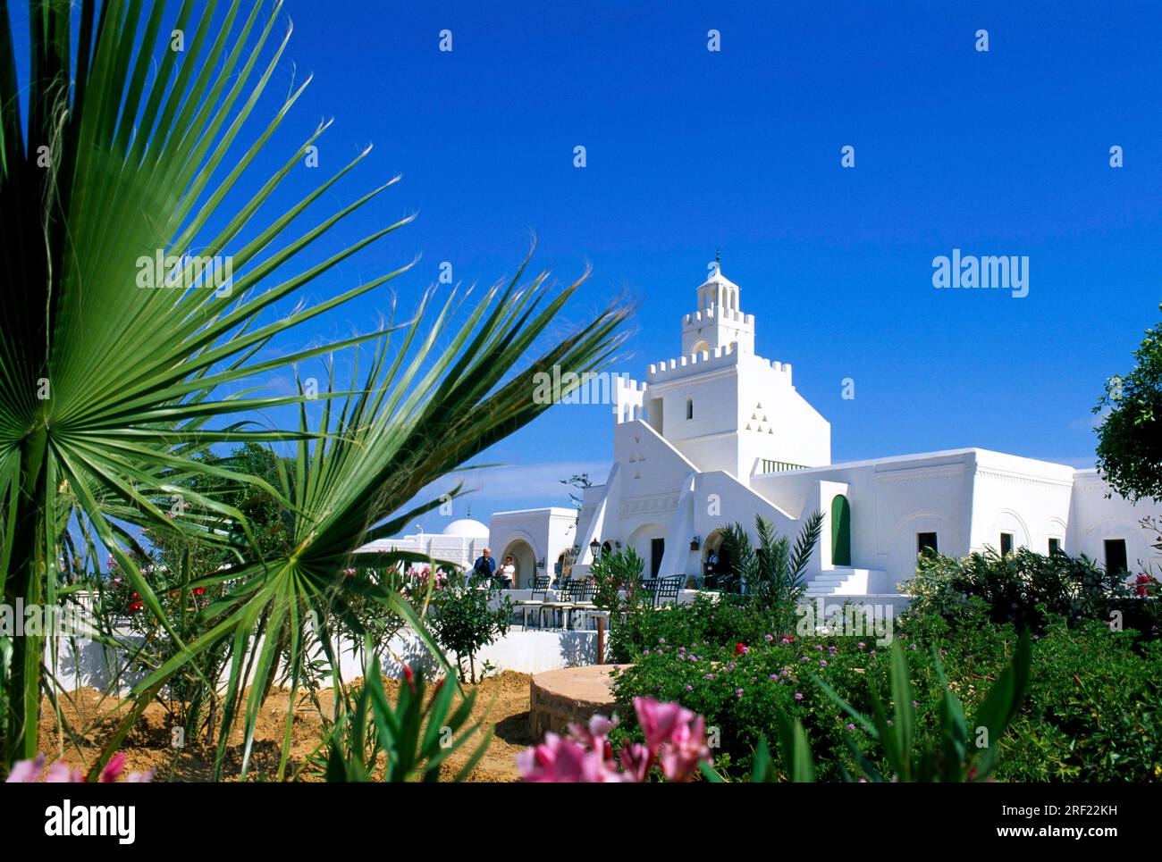 Mosque in guellala djerba Banque de photographies et d’images à haute ...