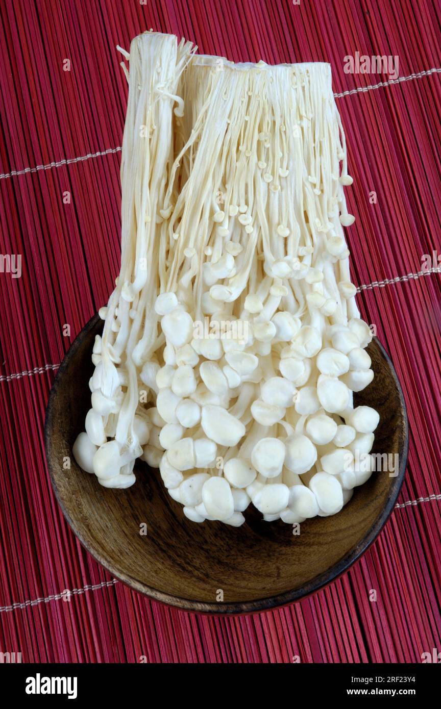 Champignon enoki champignon Banque de photographies et d’images à haute ...