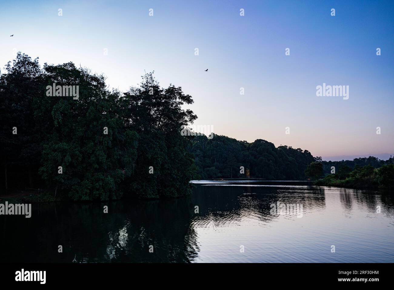 Lake River Pond Dam Outdoor nature Landscape Park Paradise Lost Kiambu ...