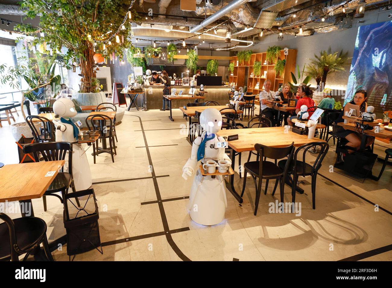 Robot waiter at restaurant Banque de photographies et d’images à haute ...