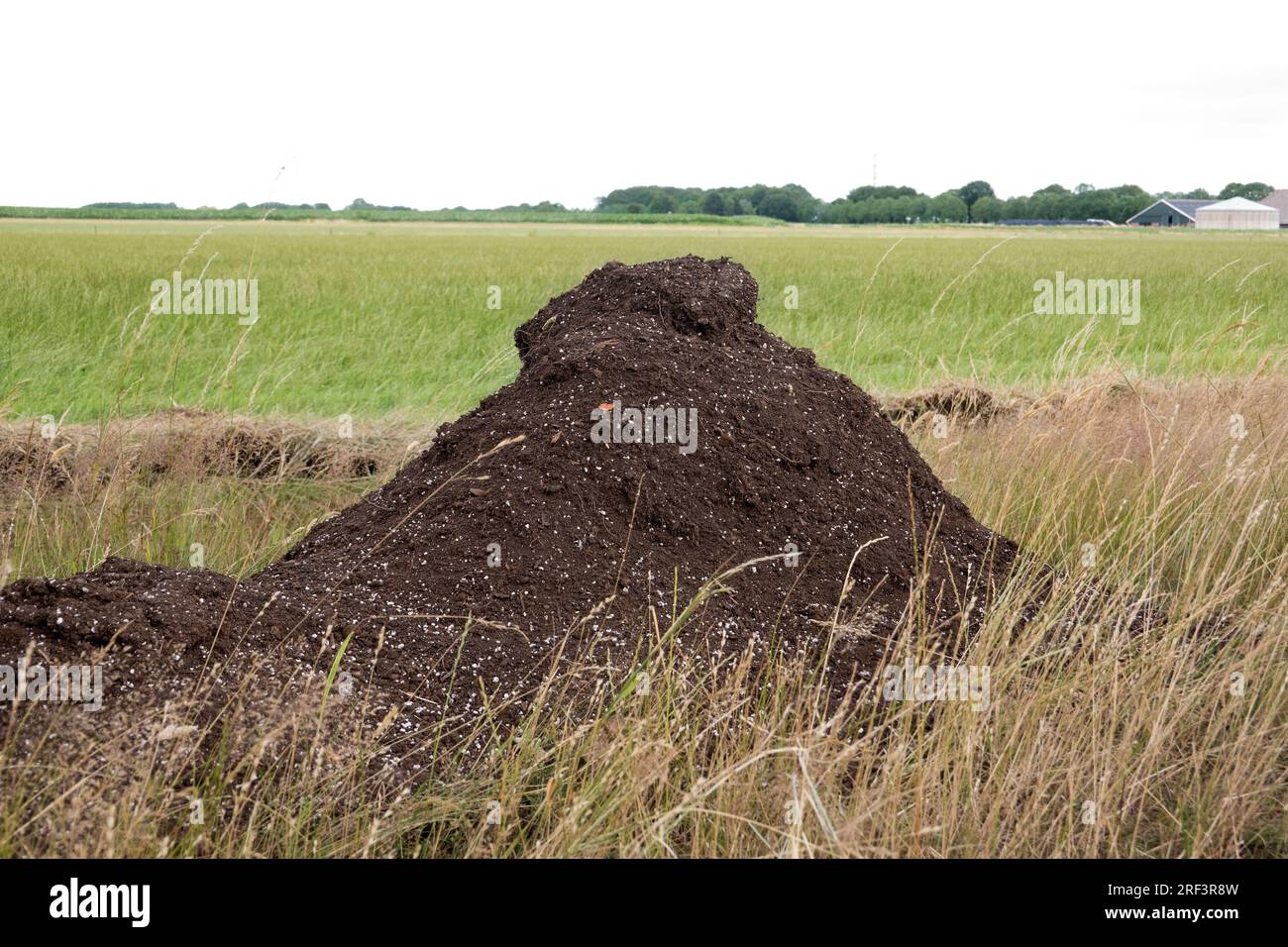 Tas de sol avec grains de Perlite, ajouté pour améliorer les capacités ...