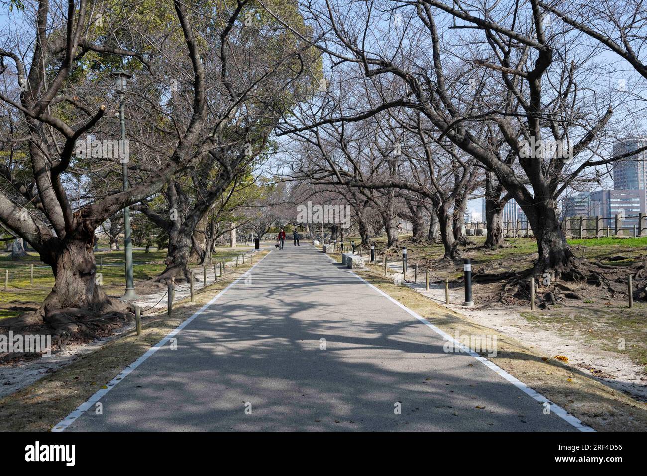 Fukuoka, Japon. 11 mars 2023. Vues des ruines du château de Fukuoka (ç ...