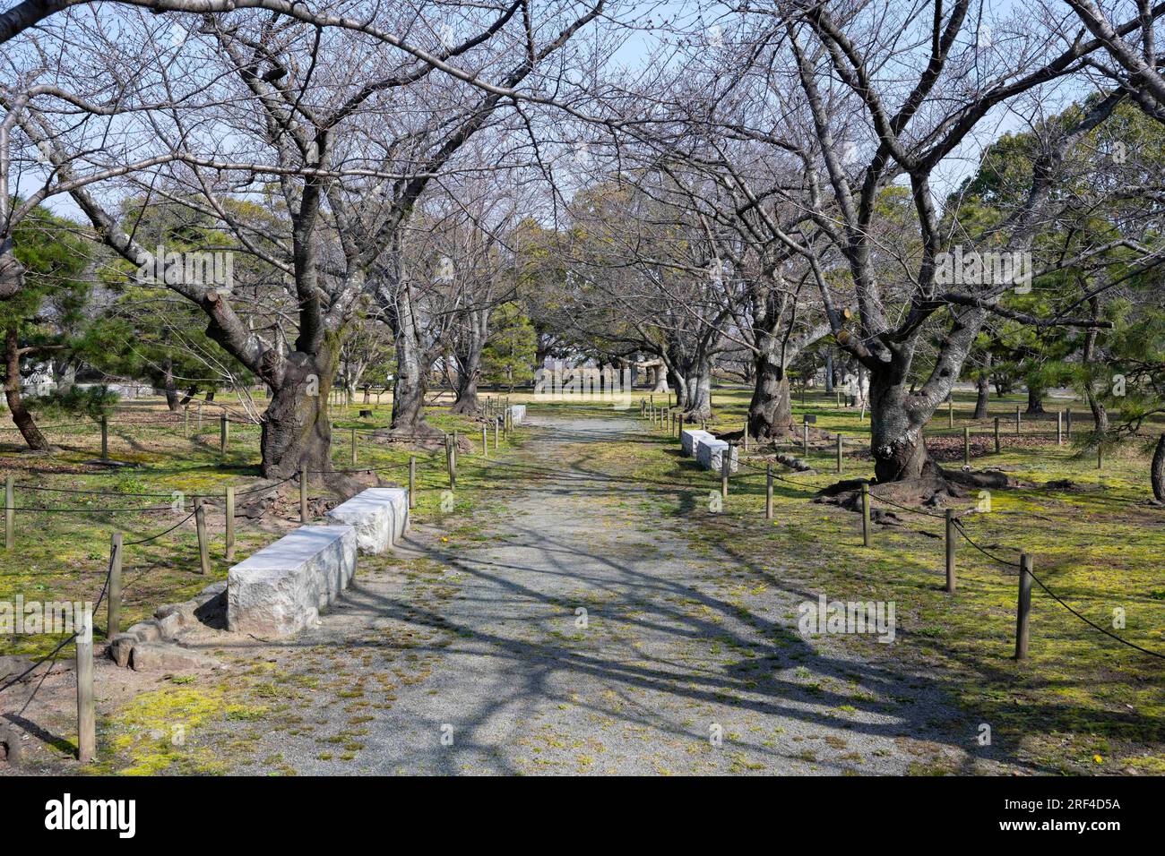 Fukuoka, Japon. 11 mars 2023. Vues des ruines du château de Fukuoka (ç ...